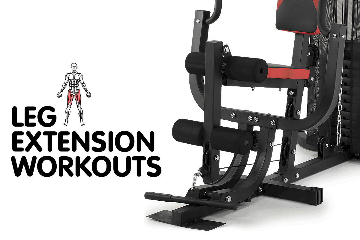 Home Gym Multi Station with Boxing Punching Bag Speed Ball Powertrain ...